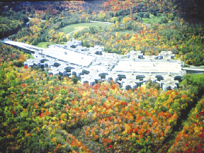 Q & A with Nelson, Grillo, Smiles and Diggs of Matrix Realty Grp ...